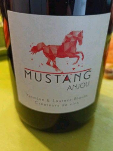 Yasmine et Laurent Blouin Mustang Anjou | Vivino US