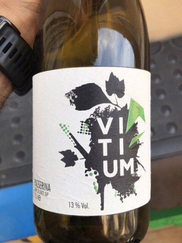 Tenuta Grossi Vitium Passerina | Vivino US