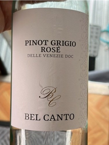 Bel Canto Pinot Grigio | Vivino English