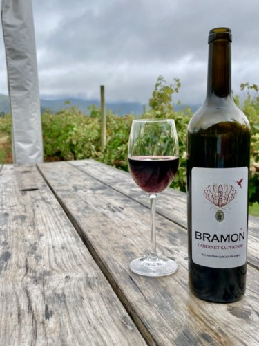 Bramon Cabernet Sauvignon | Vivino Australia
