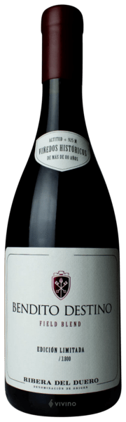 Bendito Destino Field Blend | Vivino English
