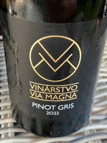 Vinárstvo Via Magna Pinot Gris | Vivino US