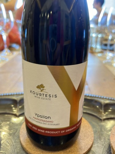 Kourtesis Wine Estate Ypsilon Potamisi | Vivino US
