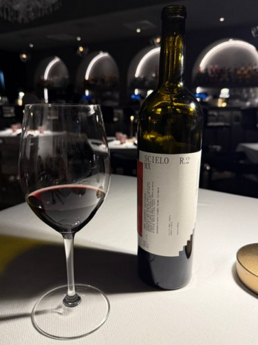 RGMX Scielo Mx R.2 Reserva Cabernet Sauvignon | Vivino English