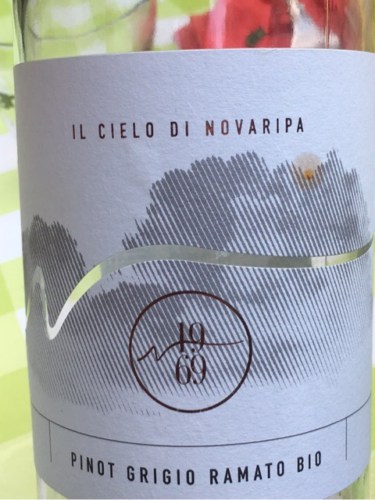 Novaripa Il Cielo di Novaripa Pinot Grigio Ramato Bio | Vivino English