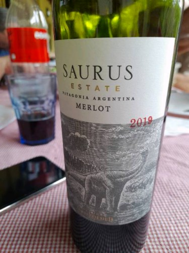 Familia Schroeder Saurus Estate Merlot | Vivino US