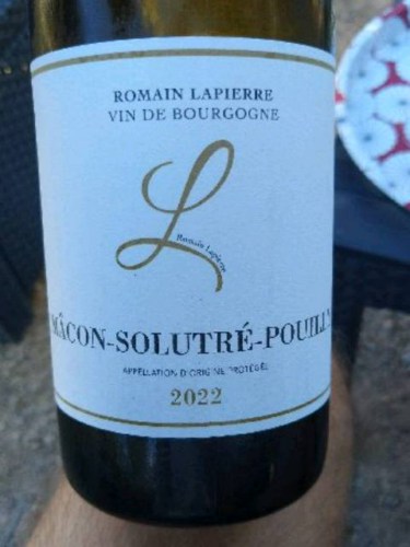 Romain Lapierre Mâcon-Solutré-Pouilly | Vivino US