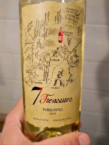 Antigal 7 Treasures Torrontés | Vivino US