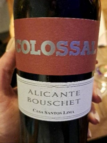 Colossal Alicante Bouschet | Vivino US