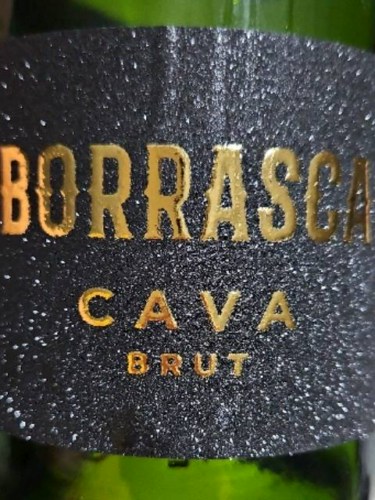 Borrasca Cava Brut | Vivino US