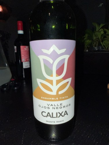 Monte Xanic Calixa Ensamble Tinto | Vivino English