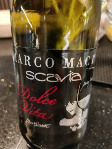 Marco Maci Scavia Dolce Vita | Vivino English