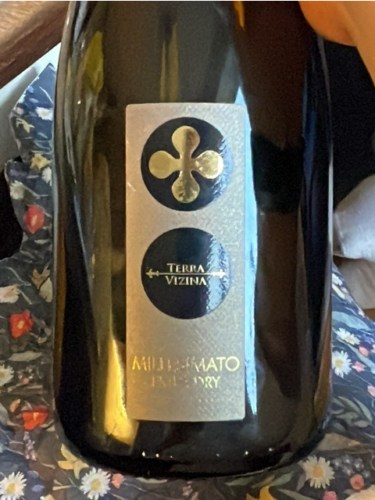 Terra Vizina Prosecco Millesimato Extra Dry | Vivino 日本