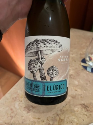 Alto da Serra Telúrico Reserva Branco | Vivino Australia
