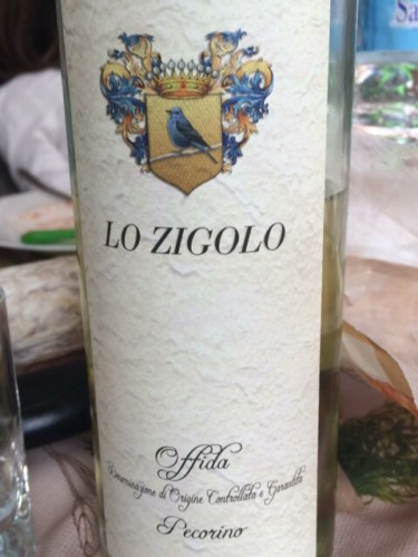 Lo Zigolo Offida Pecorino | Vivino Australia