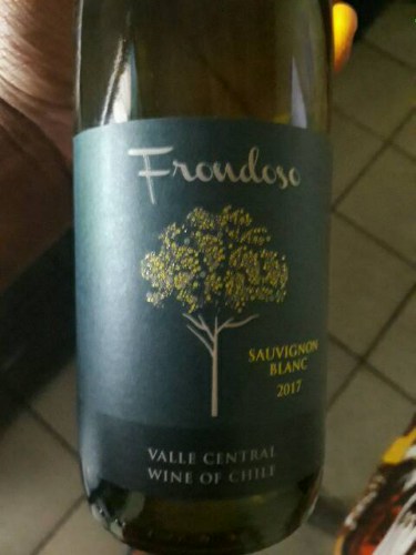Frondoso Sauvignon Blanc | Vivino US