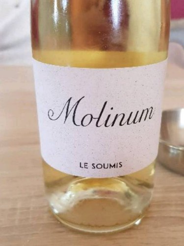Domaine de la Vrignaie Molinum Le Soumis | Vivino US