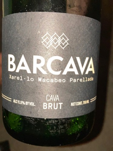 Cavas Masachs Barcava Brut | Vivino English