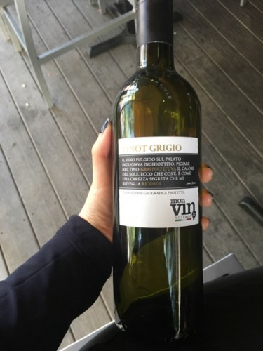 Monvin Pinot Grigio | Vivino English
