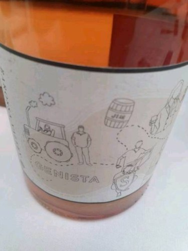 Genista Rosé | Vivino US