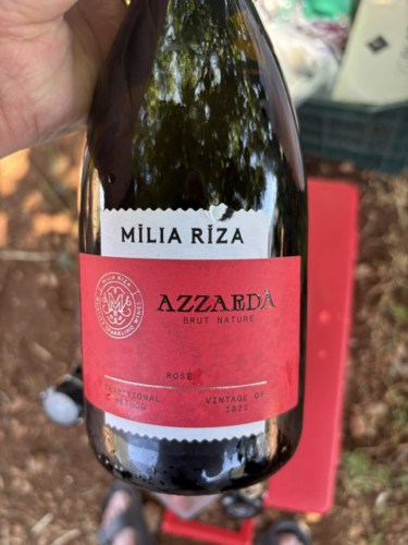 Milia Riza Azzarda Rosé Brut Nature | Vivino US