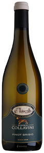Collavini Villa Canlungo Black Label Pinot Grigio | Vivino English