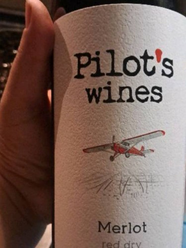 Pilot's Wines Merlot | Vivino US