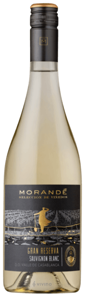 Morandé Selección de Viñedos Gran Reserva Sauvignon Blanc | Vivino English