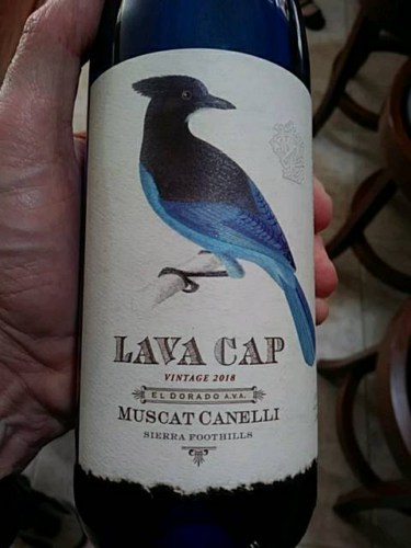 Lava Cap Reserve Muscat Canelli | Vivino US