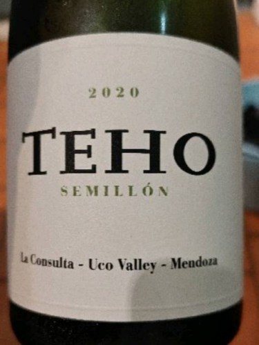 Teho Semillón | Vivino English