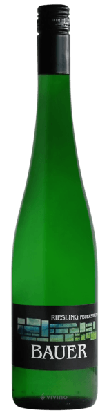 2019 Josef Bauer Feuersbrunn Riesling | Vivino United States