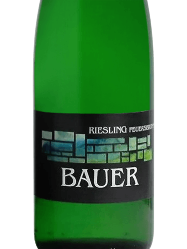 2019 Josef Bauer Feuersbrunn Riesling | Vivino United States