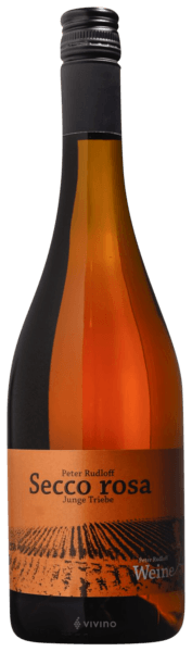Peter Rudloff Secco Rosa Junge Triebe | Vivino English
