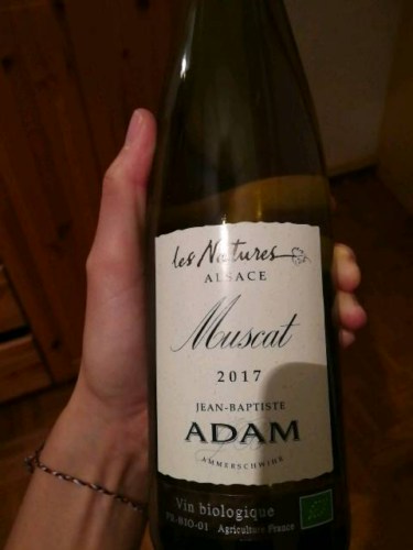 Jean-Baptiste Adam Les Natures Muscat | Vivino Australia