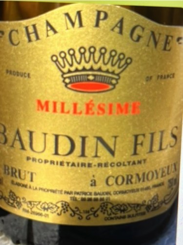 Baudin Fils Millésimée Brut Champagne | Vivino US