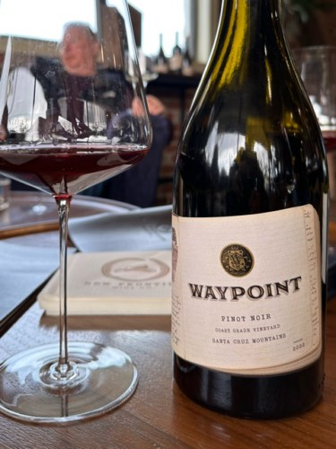 Waypoint Coast Grade Vineyard Pinot Noir | Vivino US