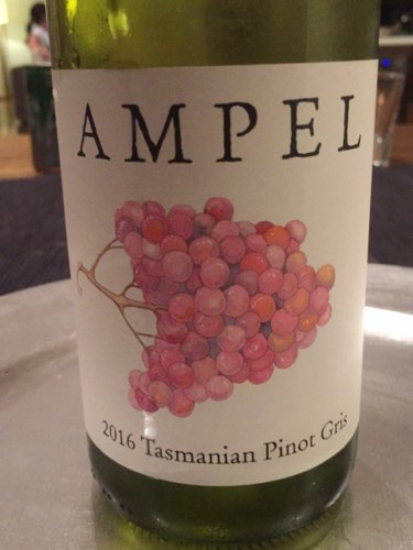 Ampel Tasmanian Pinot Gris | Vivino Australia