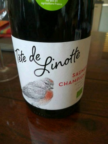 Albert Besombes Tête de Linotte Saumur Champigny | Vivino US