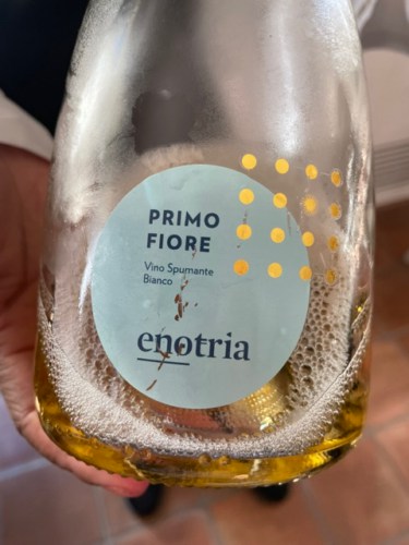 Enotria Primo Fiore Spumante Bianco | Vivino France