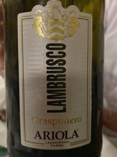 Ariola Lambrusco Grasponero | Vivino US