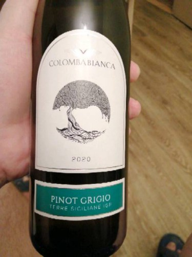 Cantina Colomba Bianca Pinot Grigio | Vivino US