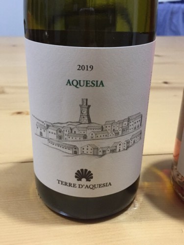Terre d'Aquesia Aquesia Bianco | Vivino Australia