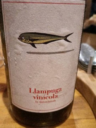 4 Kilos Vinícola Llampuga Vinícola | Vivino US