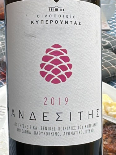 2019 Οινοποιειο Κυπερουντας - Kyperounda Ανδεςιτης (Andesitis) | Vivino US