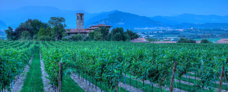 10 Franciacortas, Italy's Prestigious Sparkling Wine Style