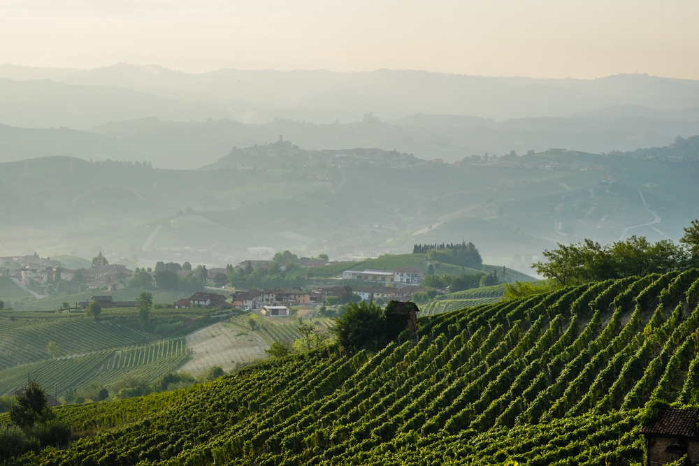 Barolo | Wine Region Guide
